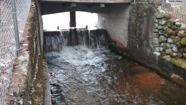 The Watchic Lake Dam in Action | Watchic Lake Association