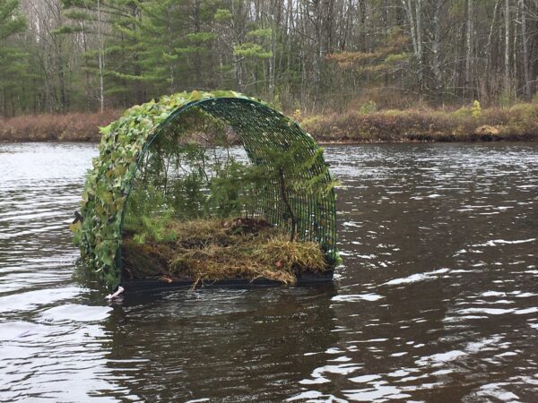New Loon Nesting Raft at Paine Brook | Watchic Lake Association