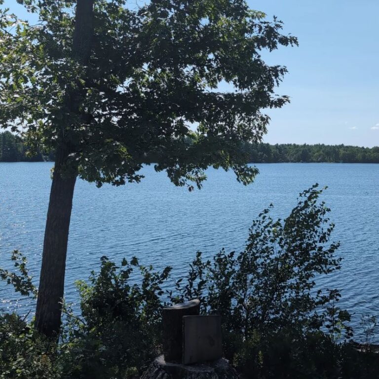 Did you know that August is National Water Quality month? | Watchic ...